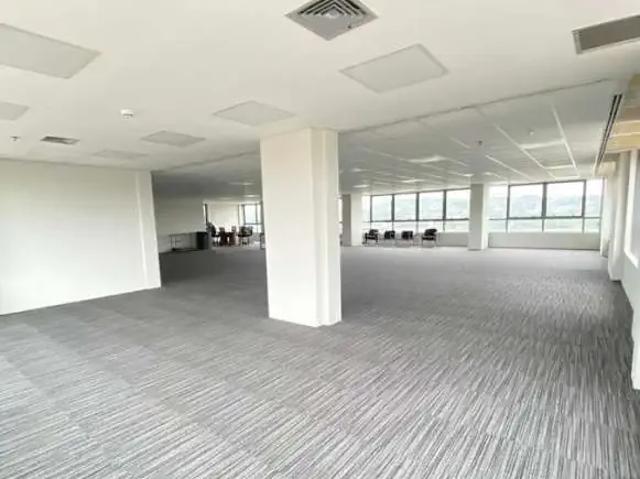 Conj. Comercial / Sala para Locação em São Paulo/SP Jardim Promissão