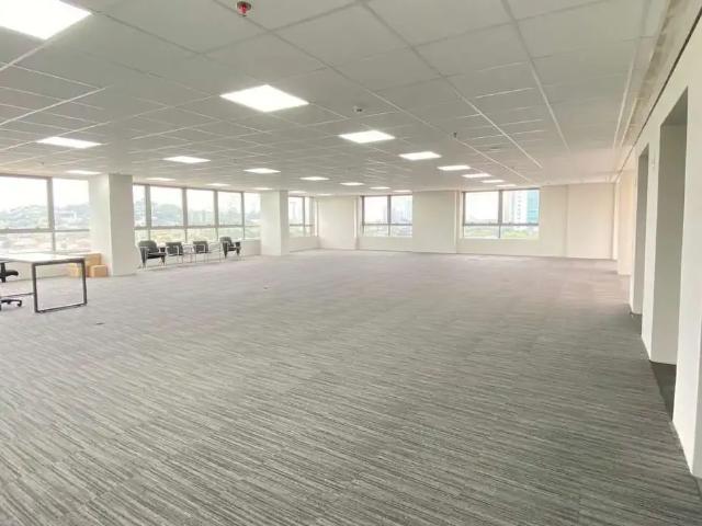 Conj. Comercial / Sala para Locação em São Paulo/SP Jardim Promissão