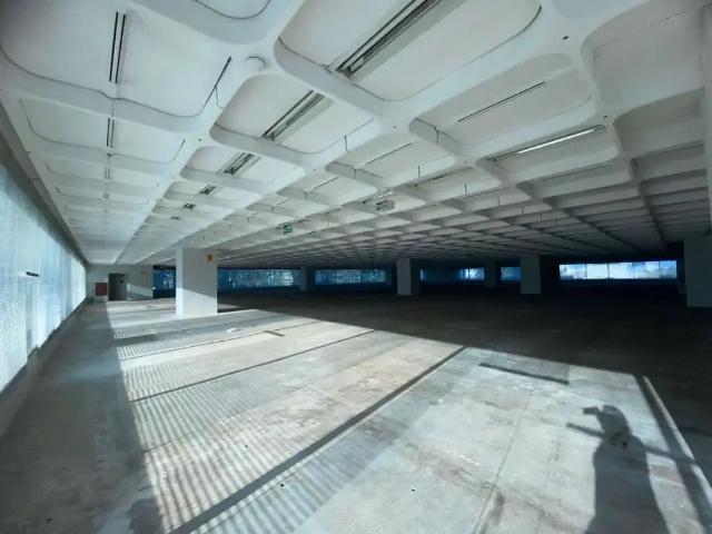 Conj. Comercial / Sala para Locação em São Paulo/SP Jardim São Luís
