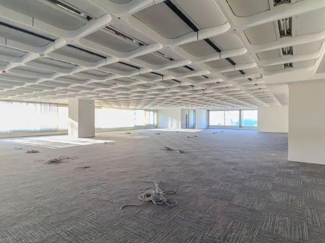 Conj. Comercial / Sala para Locação em São Paulo/SP Jardim São Luís