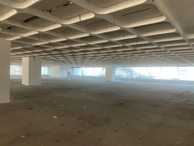 Conj. Comercial / Sala para Locação em São Paulo/SP Jardim São Luís