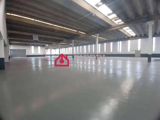 Conj. Comercial / Sala para Locação em São Paulo/SP Parque São Domingos