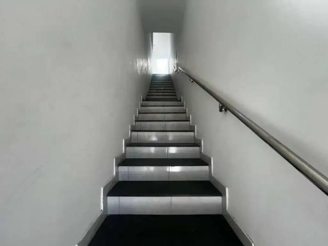 Conj. Comercial / Sala para Locação em São Paulo/SP Parque São Rafael