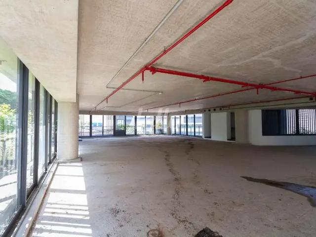 Conj. Comercial / Sala para Locação em São Paulo/SP Sumarezinho