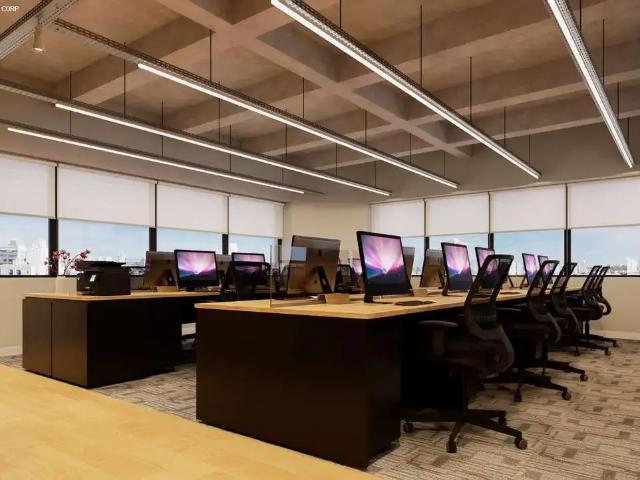 Conj. Comercial / Sala para Locação em São Paulo/SP Santa Cecília