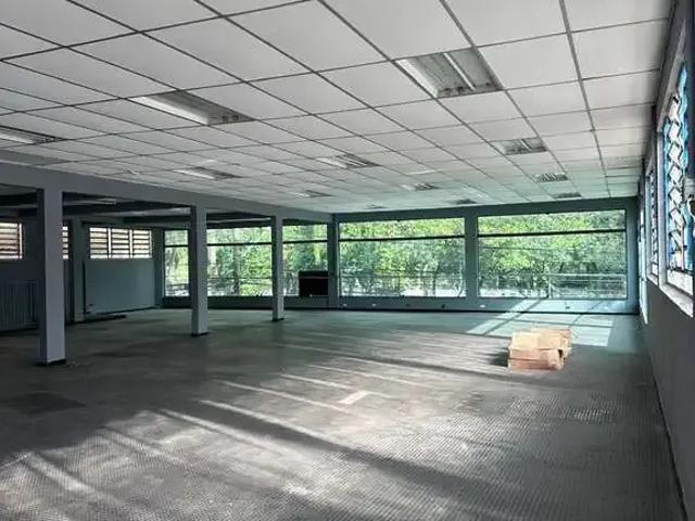 Conj. Comercial / Sala para Locação em São Paulo/SP Santana