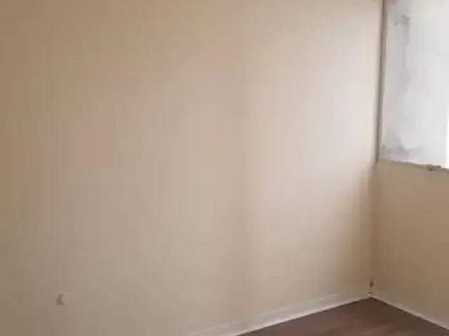 Conj. Comercial / Sala para Locação em São Paulo/SP Santana