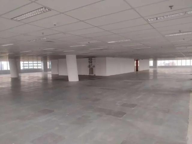 Conj. Comercial / Sala para Locação em São Paulo/SP Várzea de Baixo