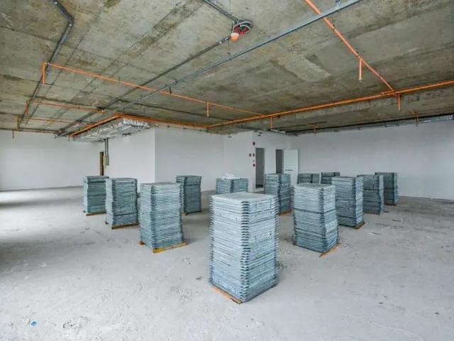 Conj. Comercial / Sala para Locação em São Paulo/SP Vila Gomes Cardim