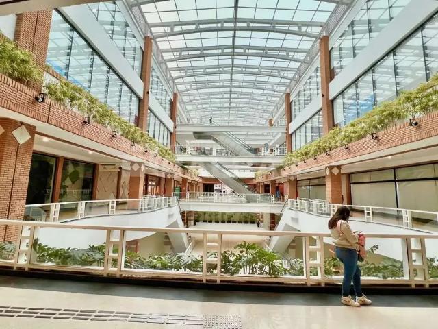 Conj. Comercial / Sala para Locação em São Paulo/SP Vila Gomes Cardim
