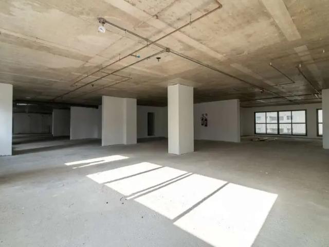 Conj. Comercial / Sala para Locação em São Paulo/SP Vila Guarani