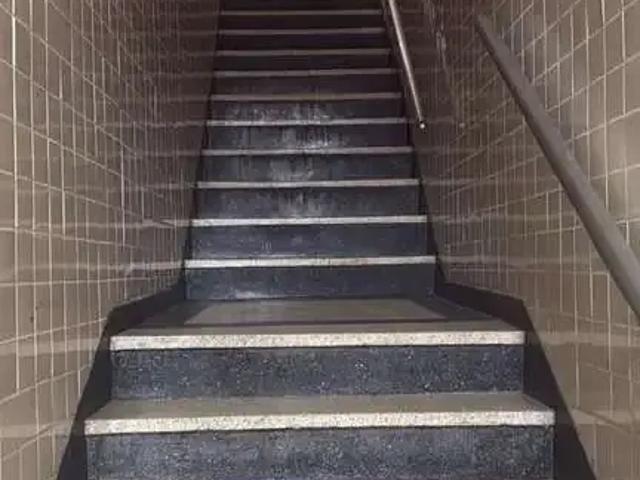 Conj. Comercial / Sala para Locação em São Paulo/SP Vila Gustavo