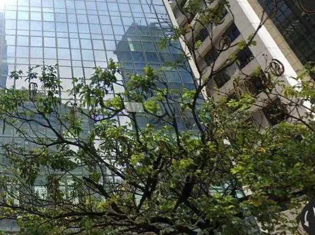 Conj. Comercial / Sala para Locação em São Paulo/SP Vila Olímpia