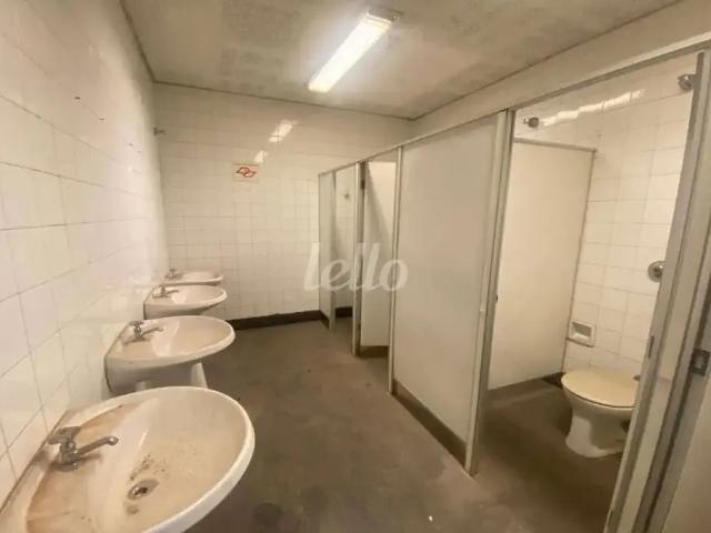 Conj. Comercial / Sala para Locação em São Paulo/SP Vila Londrina