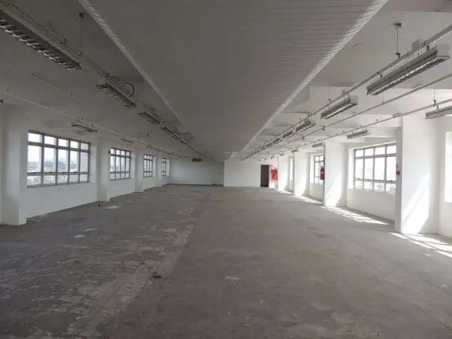 Conj. Comercial / Sala para Locação em São Paulo/SP Vila Leopoldina
