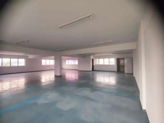 Conj. Comercial / Sala para Locação em São Paulo/SP Vila Leopoldina