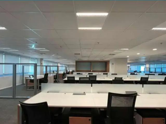 Conj. Comercial / Sala para Locação em São Paulo/SP Vila Mariana