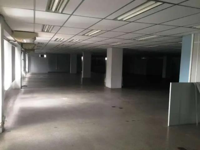 Conj. Comercial / Sala para Locação em Salvador/BA Caminho das Árvores