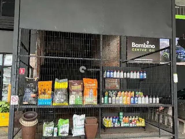 Conj. Comercial / Sala para Locação em Santa Maria/RS Nossa Senhora das Dores