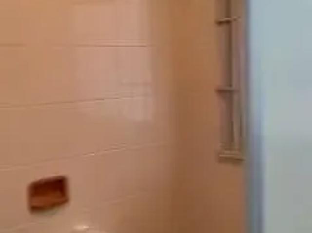 Conj. Comercial / Sala para Locação em Santos/SP Vila Mathias
