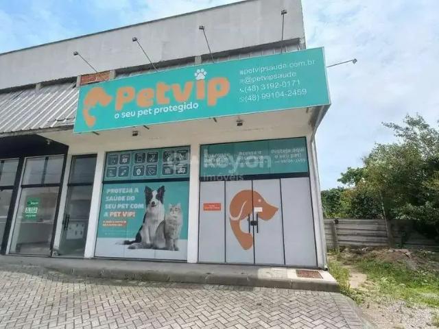 Conj. Comercial / Sala para Locação em Tubarão/SC Revoredo