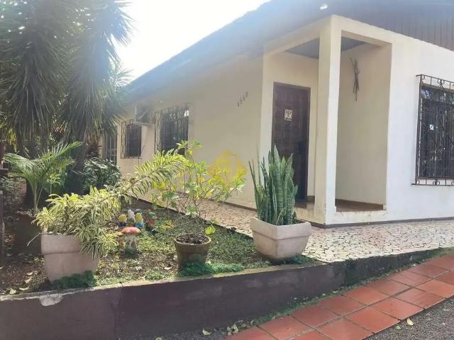 Conj. Comercial / Sala para Locação em Toledo/PR Centro 3 Quartos