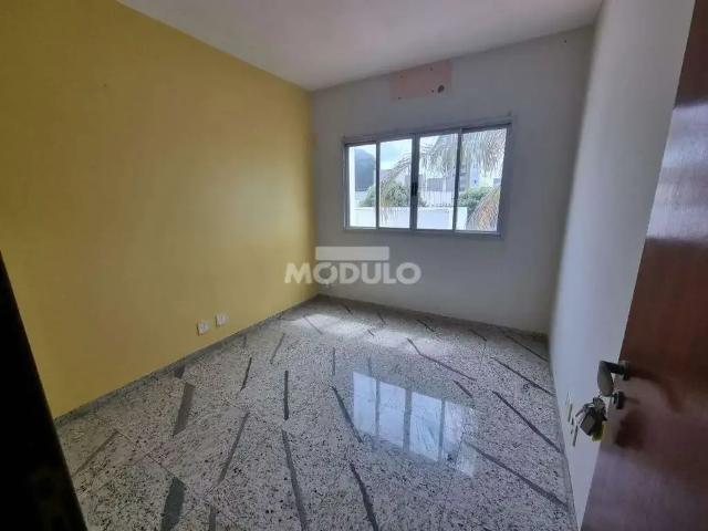 Conj. Comercial / Sala para Locação em Uberlândia/MG Umuarama