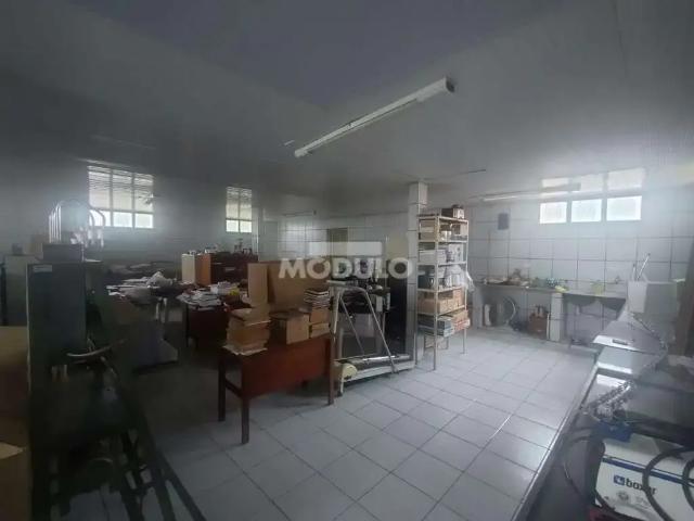 Conj. Comercial / Sala para Locação em Uberlândia/MG Chácaras Tubalina e Quartel