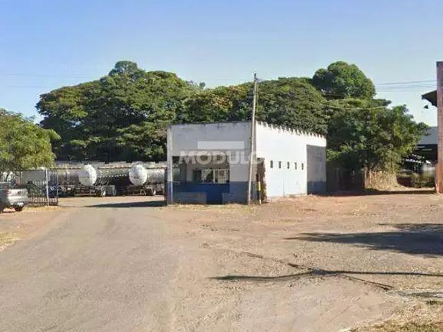 Conj. Comercial / Sala para Locação em Uberlândia/MG Distrito Industrial
