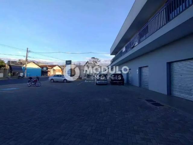Conj. Comercial / Sala para Locação em Uberlândia/MG Jardim Brasília