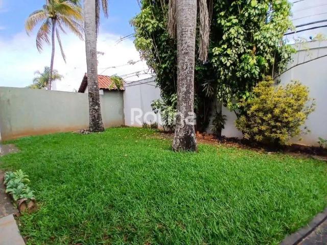 Conj. Comercial / Sala para Locação em Uberlândia/MG Jardim Karaíba