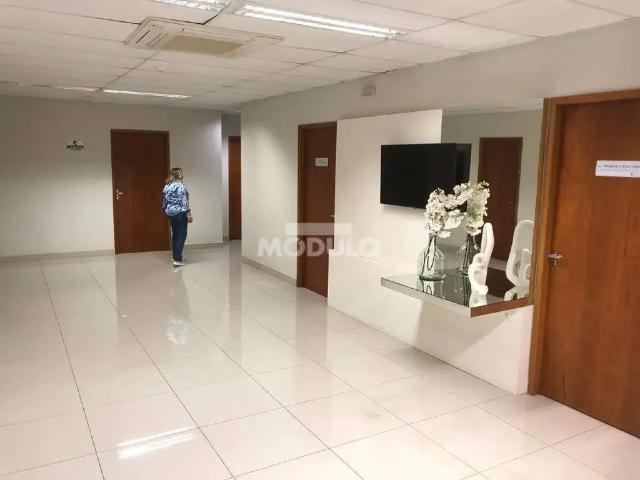 Conj. Comercial / Sala para Locação em Uberlândia/MG Osvaldo Rezende