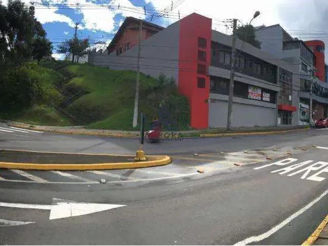 Conj. Comercial / Sala para Venda em Caxias do Sul/RS Sagrada Família 4 Quartos