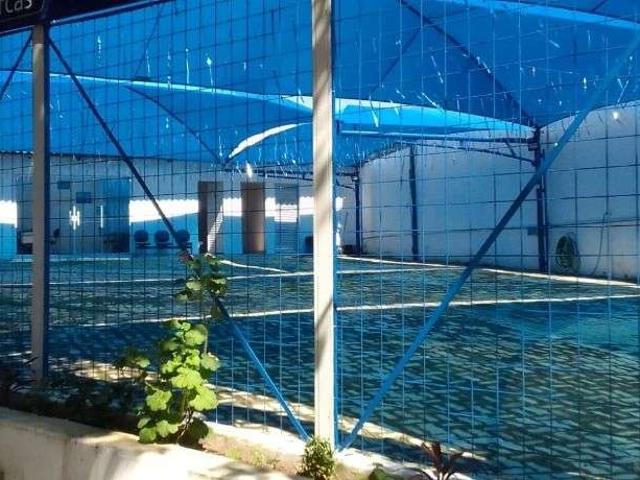 Conj. Comercial / Sala para Venda em Campinas/SP Jardim Campos Elíseos