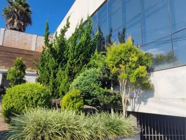 Conj. Comercial / Sala para Venda em Bento Gonçalves/RS Santo Antão 15 Quartos