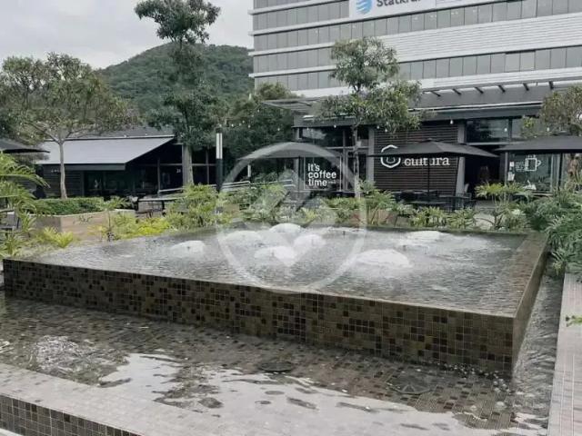 Conj. Comercial / Sala para Venda em Florianópolis/SC Saco Grande