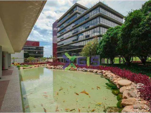 Conj. Comercial / Sala para Venda em São José do Rio Preto/SP Jardim Palmeiras