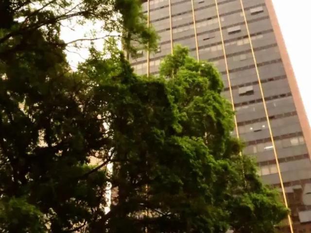 Conj. Comercial / Sala para Venda em São Paulo/SP Bela Vista