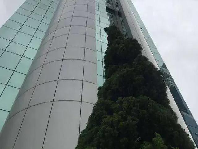 Conj. Comercial / Sala para Venda em São Paulo/SP Santana