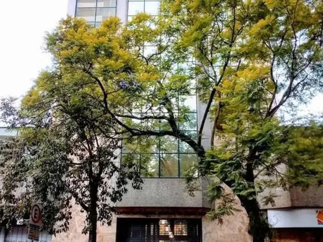 Conj. Comercial / Sala para Venda em Porto Alegre/RS Moinhos de Vento 1 Quartos