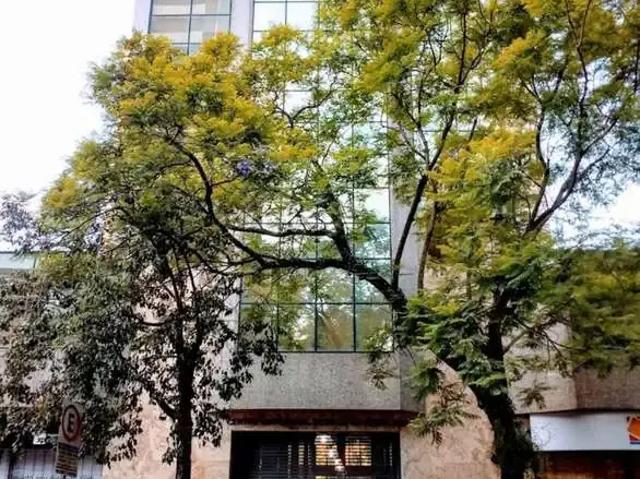 Conj. Comercial / Sala para Venda em Porto Alegre/RS Moinhos de Vento 1 Quartos