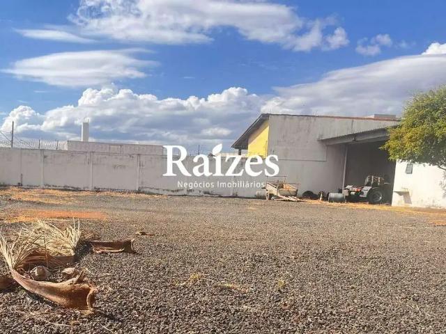 Conj. Comercial / Sala para Venda em Uberlândia/MG Umuarama 3 Quartos