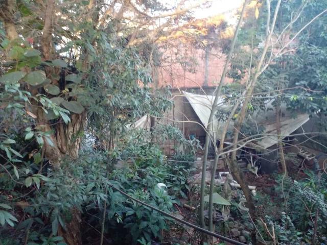 Conjunto Comercial, Jardim Ipê, São Paulo R$ 1.5 mi, Cod: 4564