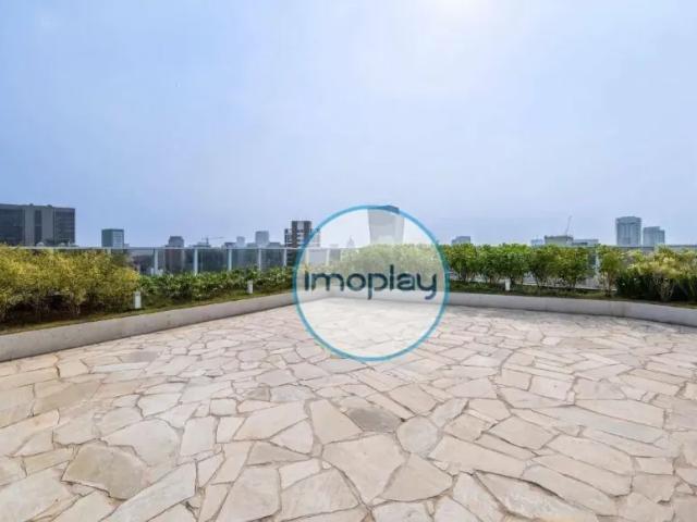 Conjunto para alugar, 467 m² Pinheiros São Paulo/SP