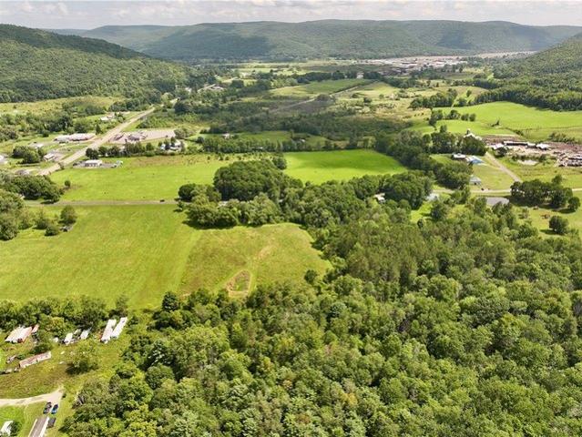 Conkrite Rd, Cayuta, NY 14824