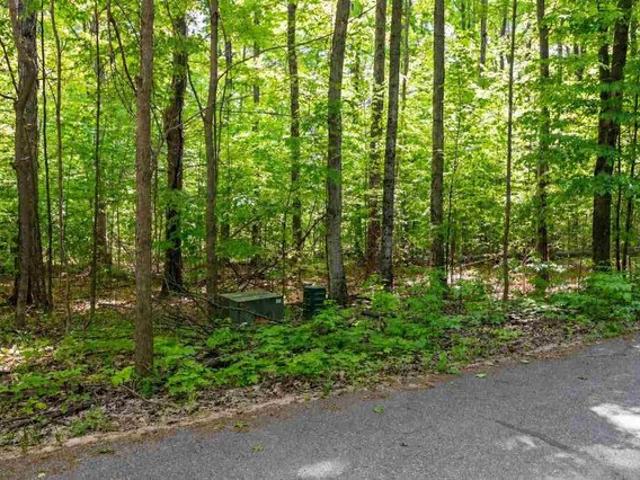 Connemara Lot 7, Boyne City, MI 49712