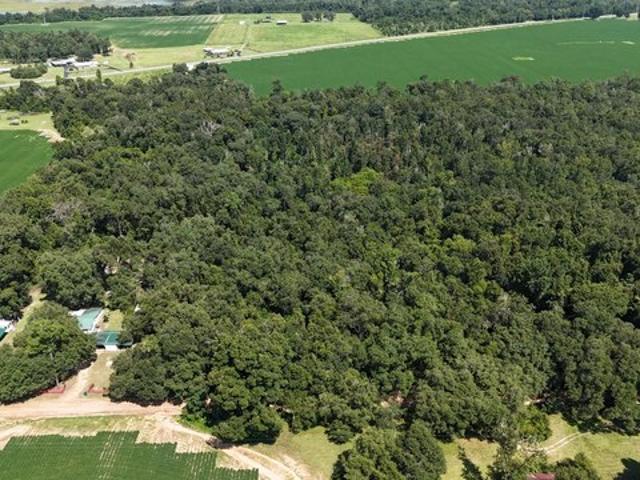 Conner Rd, Grand Ridge, FL 32442