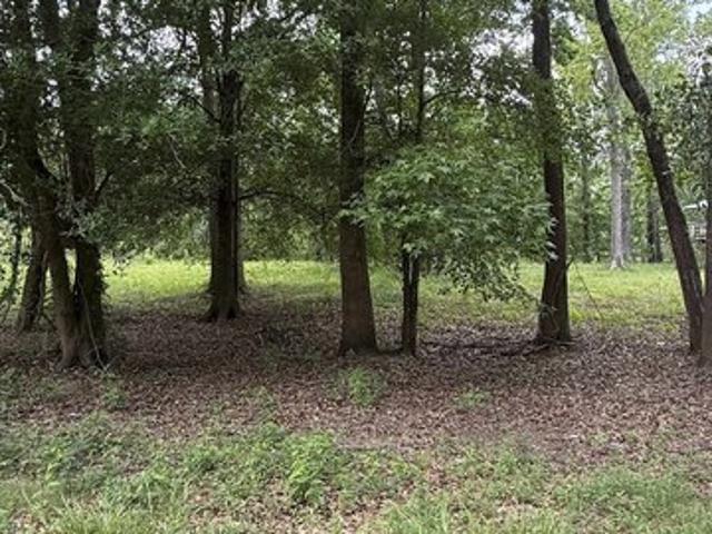 Connolly, Vidor, TX 77662