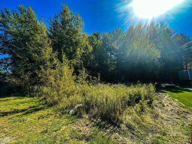 Constitution Ave, Hampden, Plot For Sale
