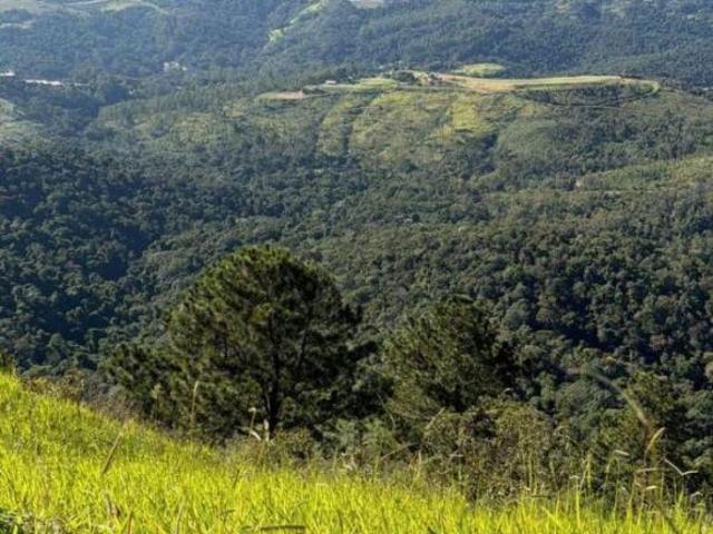 Construa seu Airbnb em um lote de 1.000M² com vista para natureza a 15min da Rota do Vinho